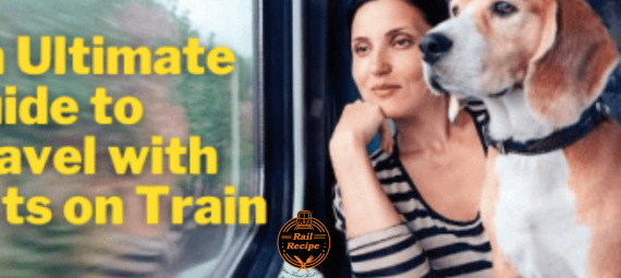 Travel With Dog On Train | Easy Tips for a Safe Journey